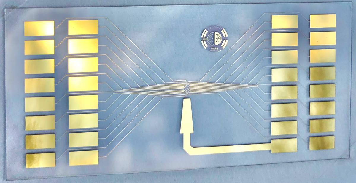 Our MEAs go to space! - Professur für Neuroelektronik